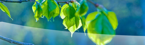 Headstones, Gravestones & Memorials | AK Lander