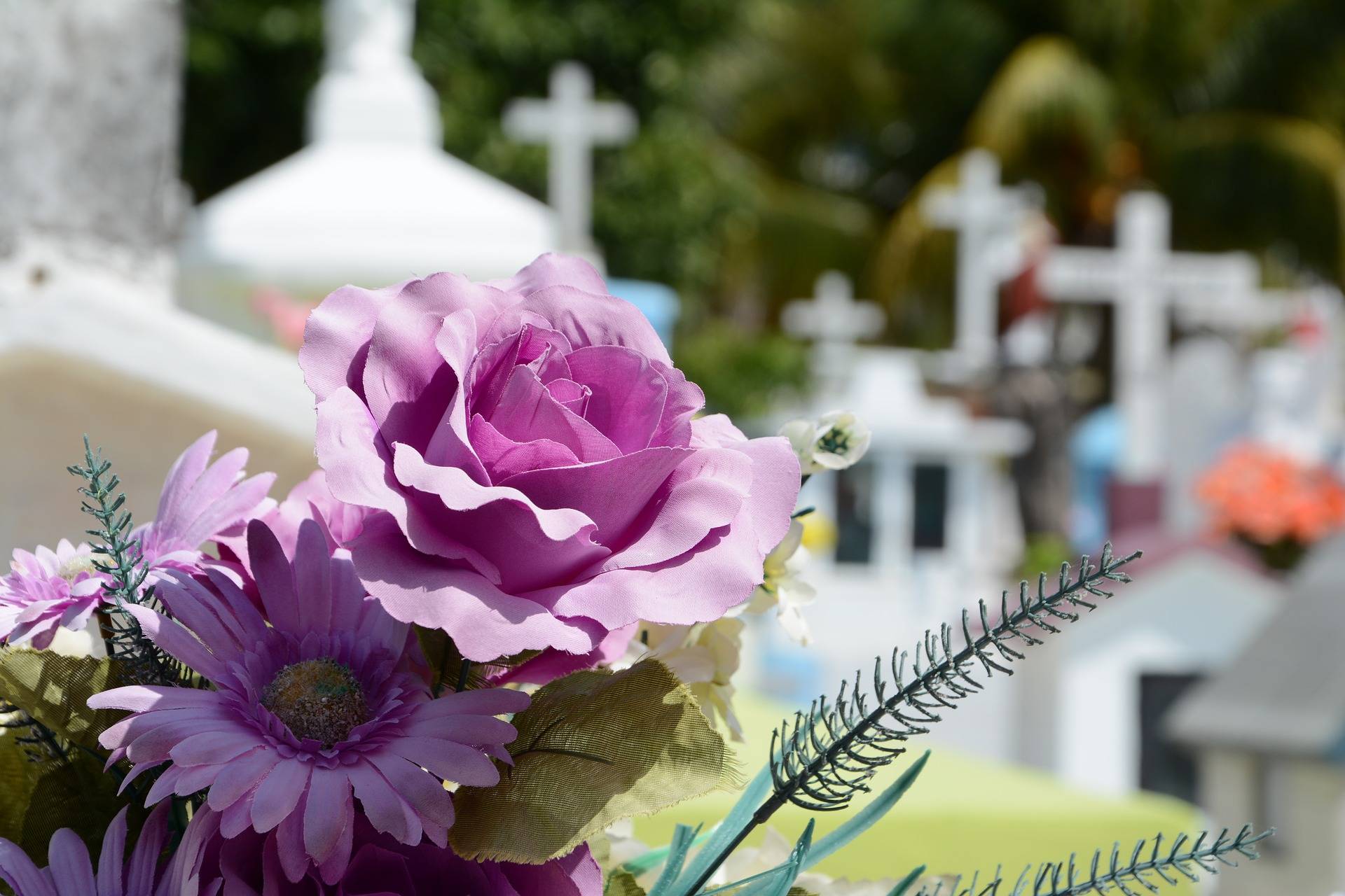The complete guide to funeral flowers and their meaning | AK Lander
